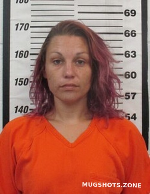 BRITTANY NICOLE RAWLINS 07/16/2025 - Cherokee County Mugshots Zone