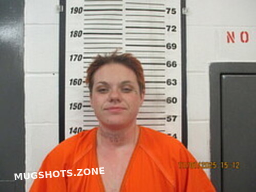 TARISA NICOLE SAYERS 11/01/2025 - Cherokee County Mugshots Zone