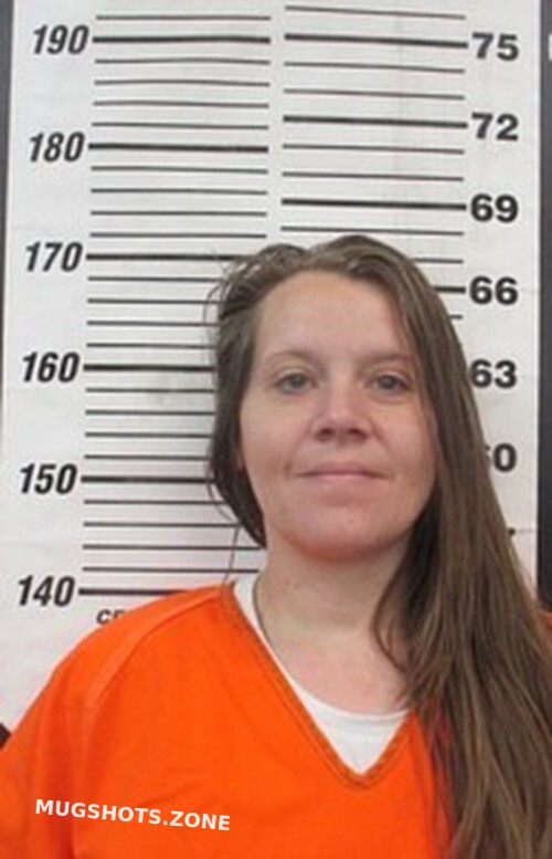 LISA MARIE SIDNEY 11/28/2025 - Cherokee County Mugshots Zone