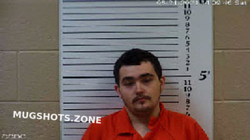REECE JOHNATHAN LEE 08/21/2021 - Cherokee County Mugshots Zone