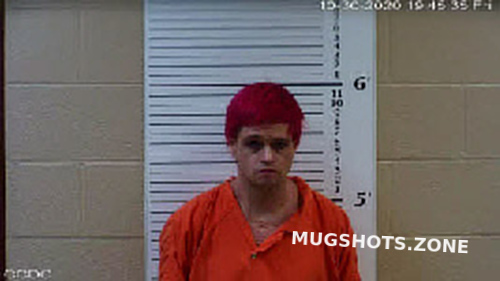 SWINT JASON LOYD 02/18/2022 - Cherokee County Mugshots Zone