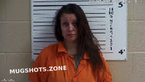 JOHNSON TARA ASHLEY 02/07/2023 - Cherokee County Mugshots Zone