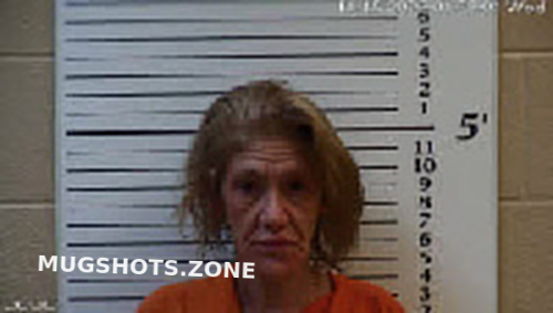 RUNGE HELEN SHANNON 11/22/2023 - Cherokee County Mugshots Zone