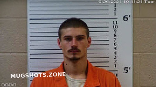 BEAVERS ALEK VINCENT 03/21/2024 - Cherokee County Mugshots Zone