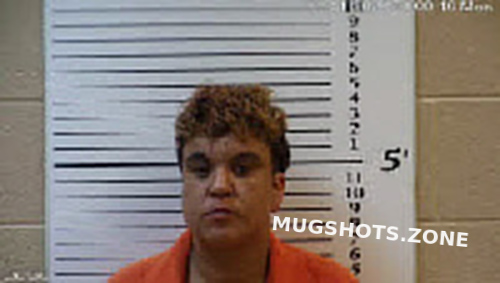 JONES KARISSA SHALA 11/11/2024 - Cherokee County Mugshots Zone