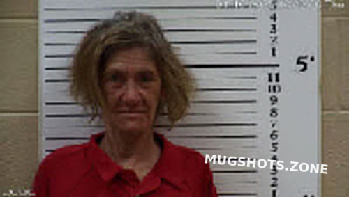 RUNGE HELEN SHANNON 02/20/2025 - Cherokee County Mugshots Zone
