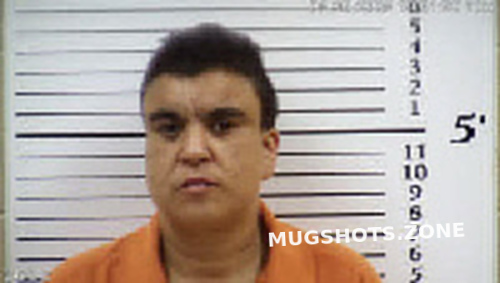 JONES KARISSA SHALA 05/29/2025 - Cherokee County Mugshots Zone