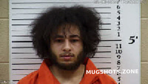 PATTERSON TYLER AMIR 02/06/2026 - Cherokee County Mugshots Zone