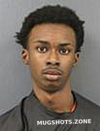 DAVIDSON ZAMARION RASHAD 01/13/2023 - Cherokee County Mugshots Zone