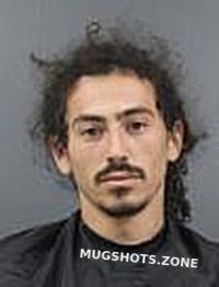 RIDDLE JUSTIN TYLER 06/01/2025 - Cherokee County Mugshots Zone