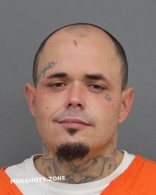 WOLF MICHAEL SHANE 03/09/2023 - Cherokee County Mugshots Zone