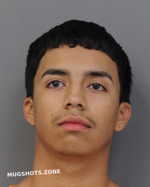 ARELLANO BRYAN MISAEL 07/05/2023 - Cherokee County Mugshots Zone