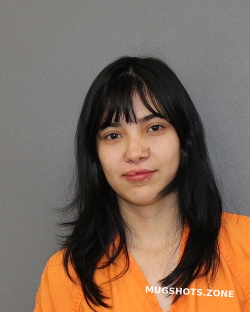 ALVAREZ BRENDA 11/11/2023 - Cherokee County Mugshots Zone