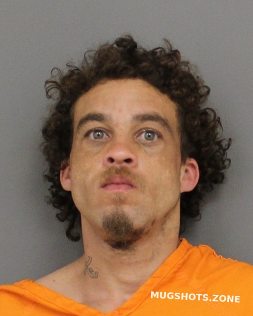 SINGLETON STEVEN EDWARD 02/22/2024 - Cherokee County Mugshots Zone