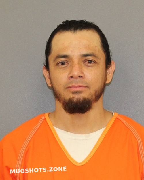 SALAZAR SAMUEL 03/23/2024 - Cherokee County Mugshots Zone