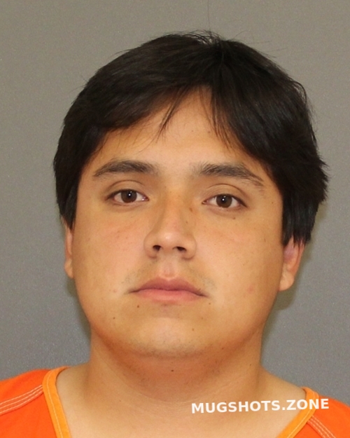 DELGADO SALVADOR 03/26/2024 - Cherokee County Mugshots Zone