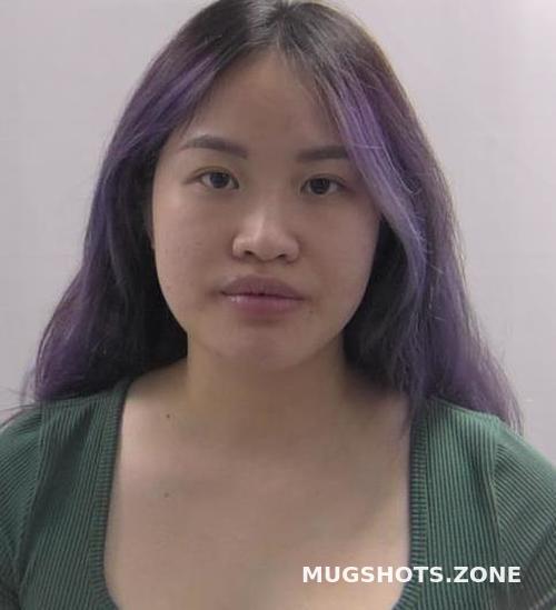 TRAN TAM SONG MAI 07/17/2024 - Chesapeake Mugshots Zone