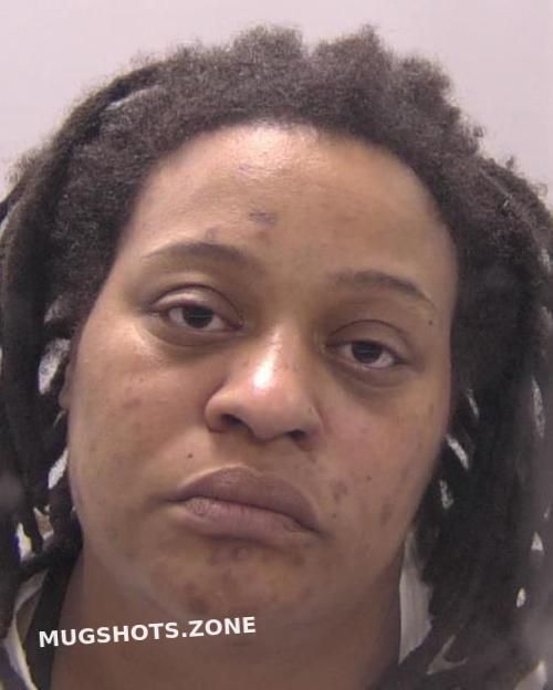 RAWLINGS LISA RENEE 09/06/2024 - Chesapeake Mugshots Zone