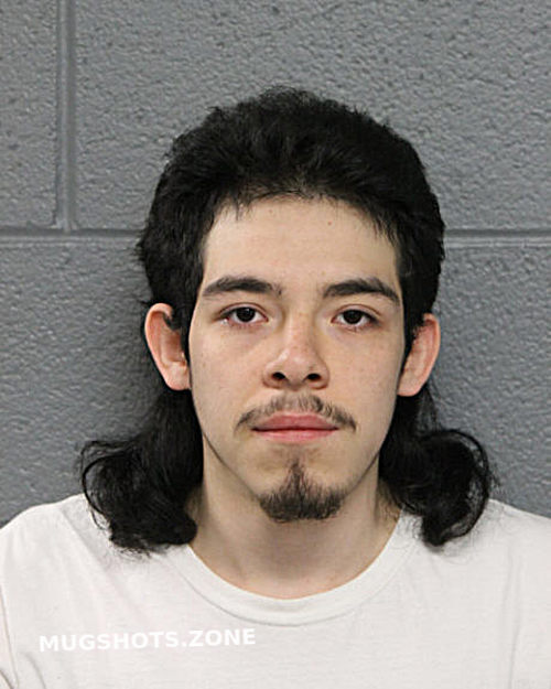 JULIO CESAR ROSAS-SAAVEDRA 04/02/2021 - Chicago Mugshots Zone