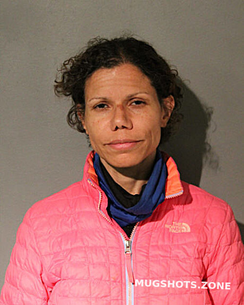 INAN ZABRIN 04/14/2021 - Chicago Mugshots Zone