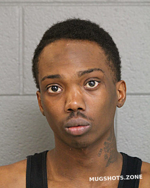 ERIC JOSIAH ALDRIDGE 04/26/2021 - Chicago Mugshots Zone