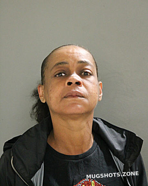 BRENDA L NELSON 05/02/2021 - Chicago Mugshots Zone