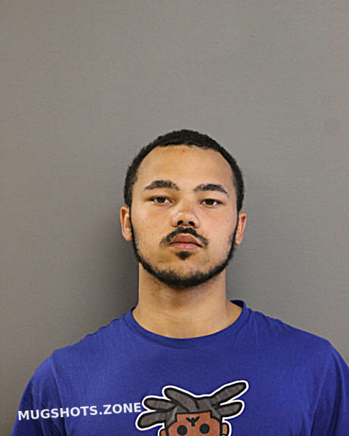 MICHAEL D ANDERSON 06/02/2021 - Chicago Mugshots Zone