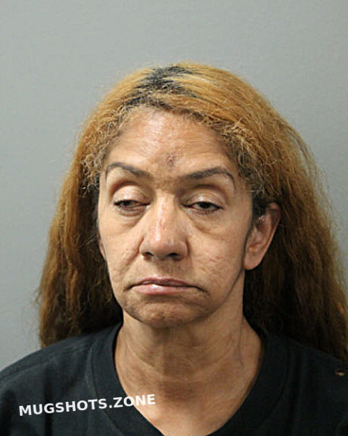 MARIA A PABELLON 06/06/2021 - Chicago Mugshots Zone