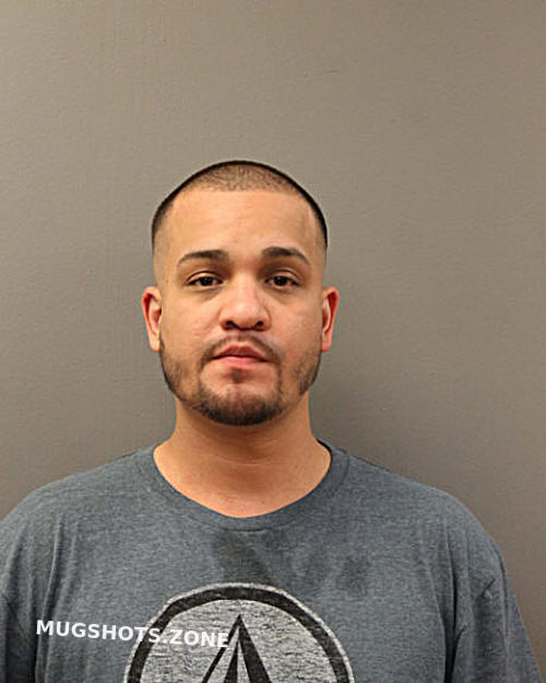 STEVE PALMA 06/18/2021 - Chicago Mugshots Zone