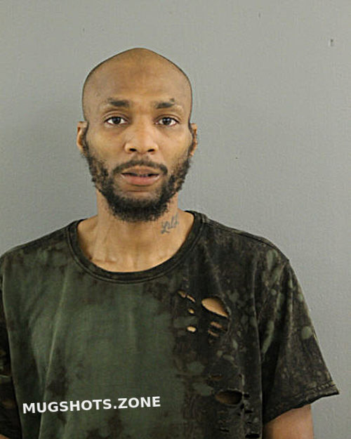 KELLY M MITCHELL 06/20/2021 - Chicago Mugshots Zone