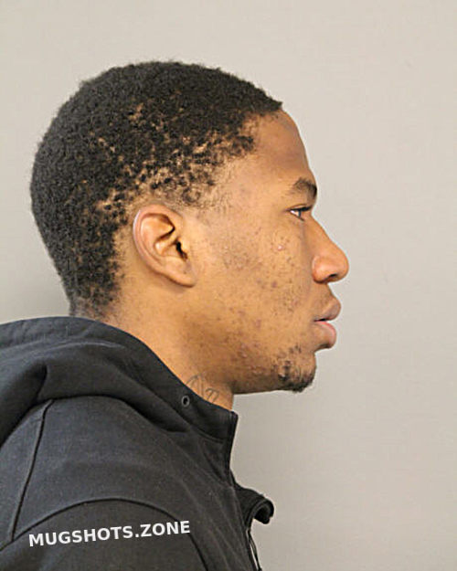 TYLER PERKINS 06/22/2021 - Chicago Mugshots Zone