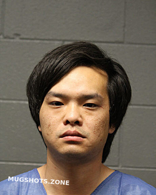 ZHI HAO TAN 06/22/2021 - Chicago Mugshots Zone