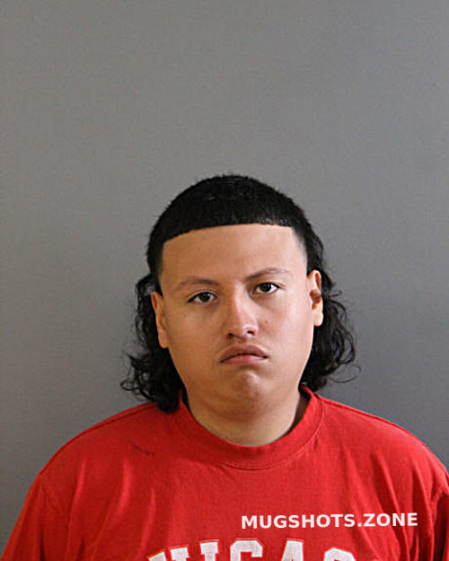 NATHAN A TORRES 08/22/2021 - Chicago Mugshots Zone