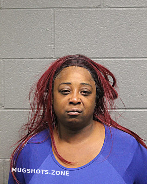 APRIL ANN JOHNSON 10/16/2021 - Chicago Mugshots Zone