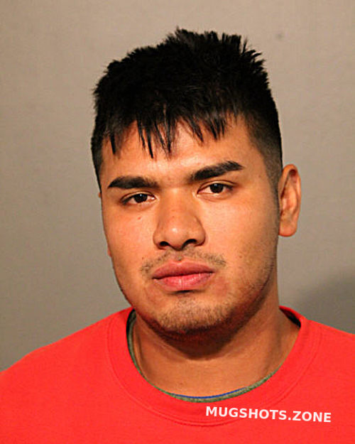 RONALDO GONZALEZ 10/30/2021 - Chicago Mugshots Zone