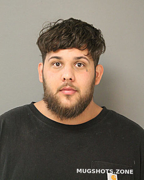 MICHAEL A COZZA 11/16/2021 - Chicago Mugshots Zone