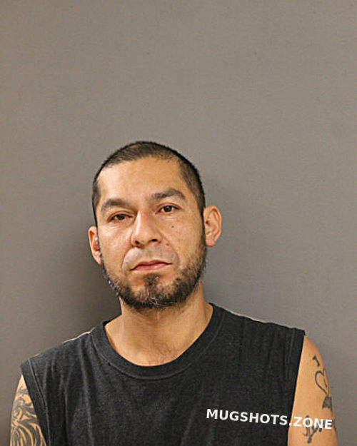 GUADALUPE GUZMAN 11/26/2021 - Chicago Mugshots Zone