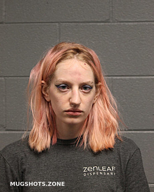 EMILY M HARRINGTON 03/27/2022 - Chicago Mugshots Zone