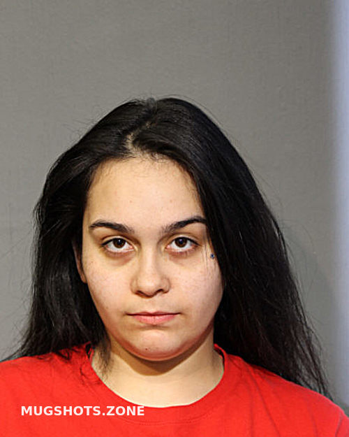 ALEXIS F ORTIZ 04/11/2022 - Chicago Mugshots Zone