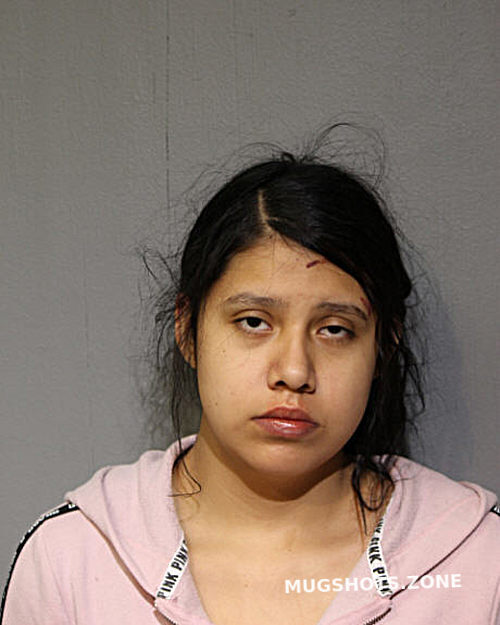 ALEYNA ARTEAGA 06/05/2022 - Chicago Mugshots Zone