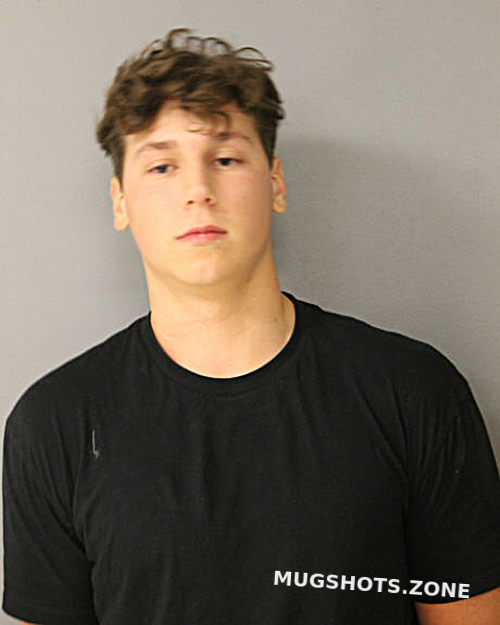 DAVID MARKOVIC 08/13/2022 - Chicago Mugshots Zone