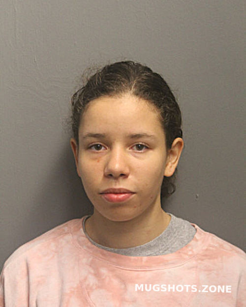 EMILY GRACE AKIN 08/17/2022 - Chicago Mugshots Zone