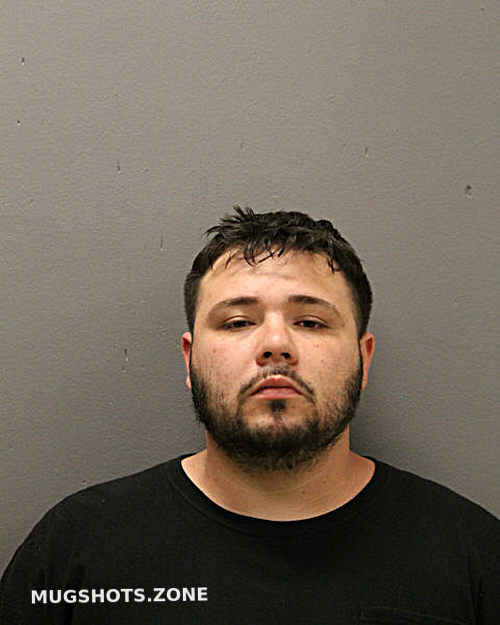 NICHOLAS D GONZALEZ 08/28/2022 - Chicago Mugshots Zone