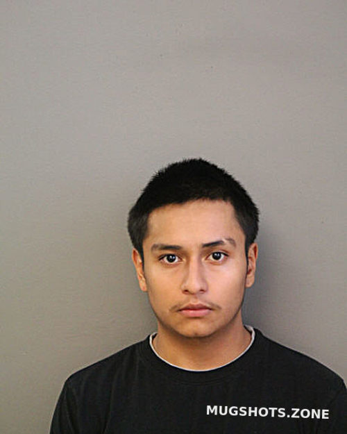 RENEE LUNA JR 09/01/2022 - Chicago Mugshots Zone