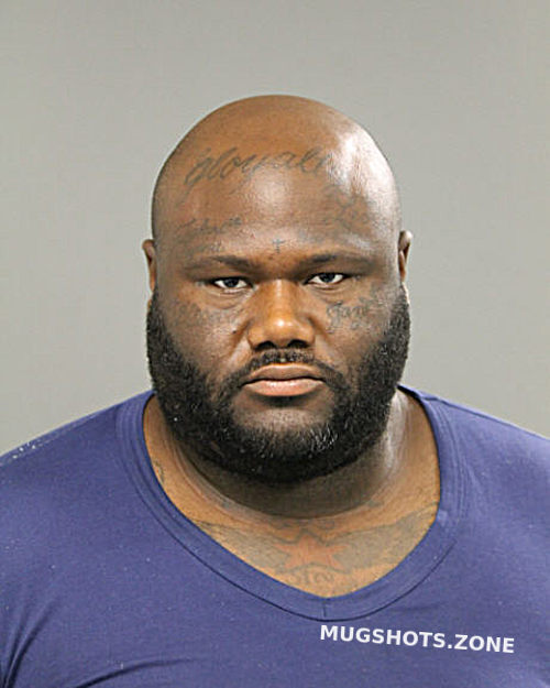 JAMES R BROWN 09/06/2022 - Chicago Mugshots Zone