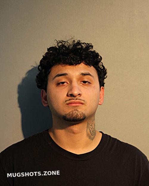 MICHAEL A COSS 10/21/2022 - Chicago Mugshots Zone