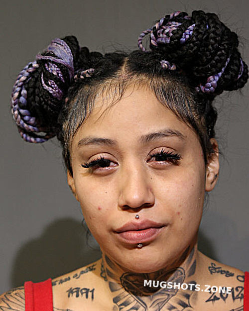MICHELLE PANIAGUA 10/28/2022 - Chicago Mugshots Zone