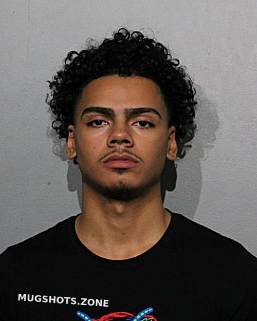 G ANGELO REILLO 11/06/2022 - Chicago Mugshots Zone