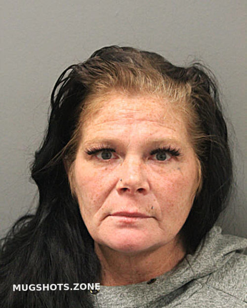 ANN MARIE RIDER 11/12/2022 - Chicago Mugshots Zone