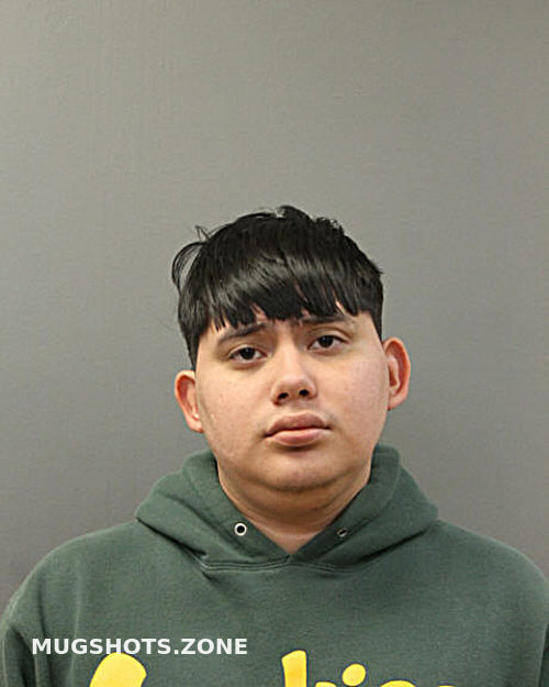 ALEXIS RODRIGUEZ 11/16/2022 - Chicago Mugshots Zone